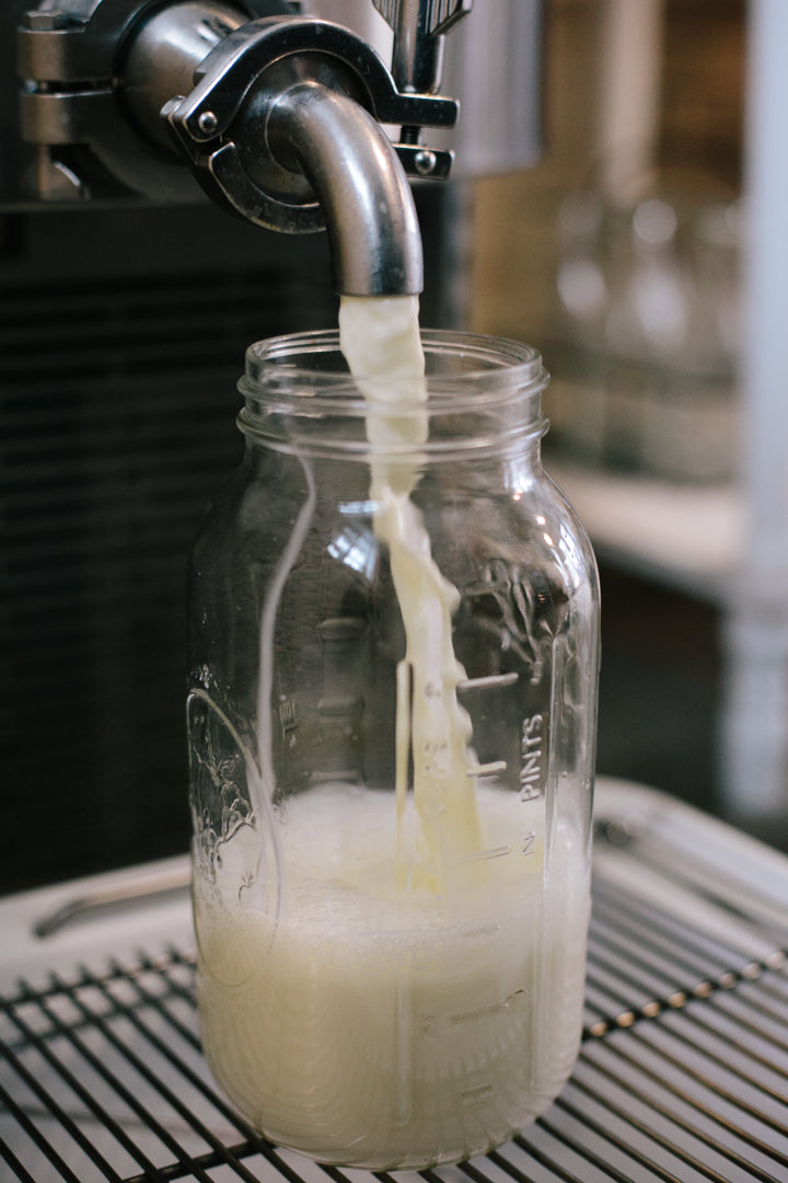 Raw Milk – All Grass Farms