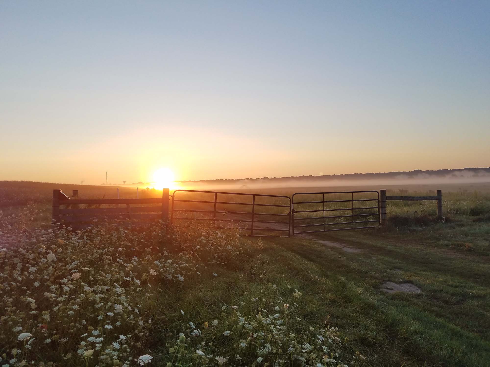 Farm Newsletter Sign-Up – All Grass Farms